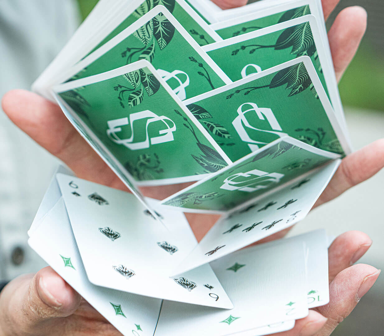 About — Somnium Cards